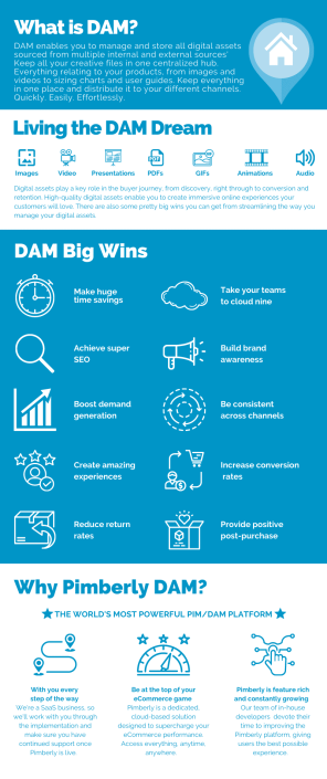 Infographic: What is DAM? | Live the DAM Dream