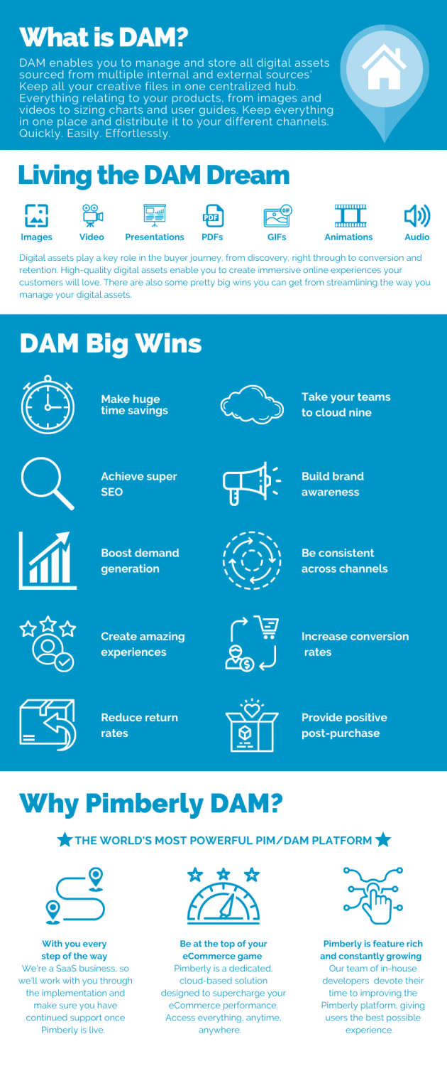 Infographic: What is DAM? | Live the DAM Dream